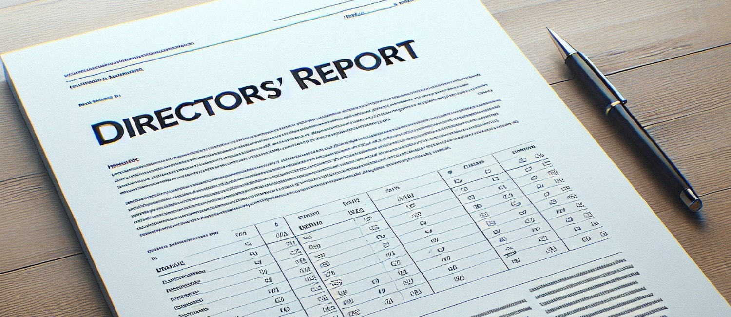 Directors' Report Explained